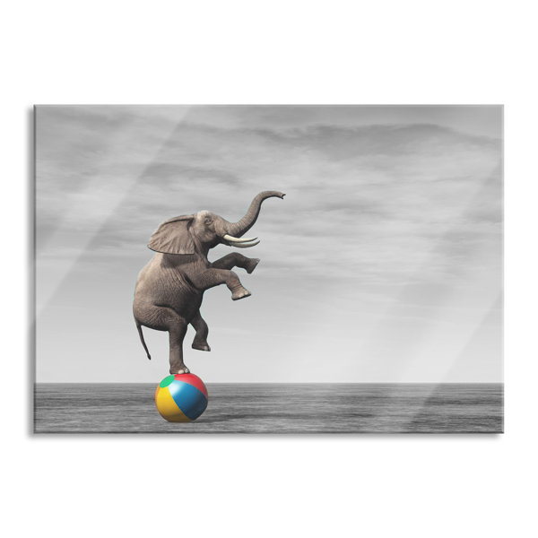 Happy Larry Glasbild Elefant in der Wüste Balanciert auf einem Ball | Wayfair.de